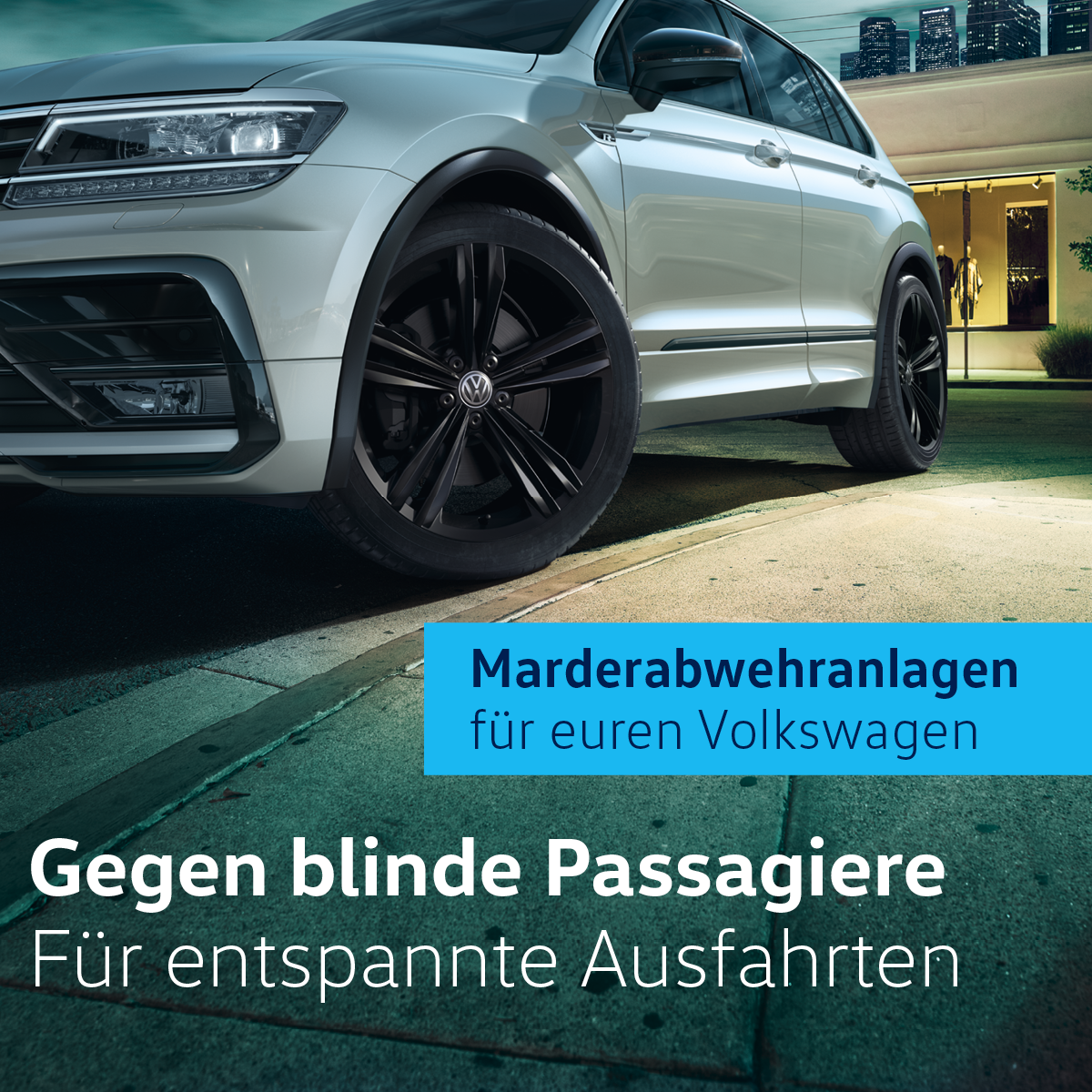 Vw Marderschutz Nachrsten Kosten